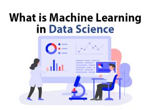 What Is Machine Learning In Data Science? | Gyanipandit Programming